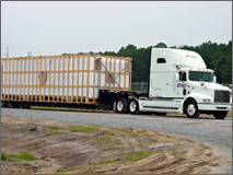 Foto Ip at Best Price in New Delhi, Delhi | Data Packers And Movers
