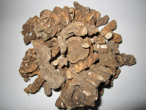 Paris Pollyphilla - Satuwa at Best Price in Kathmandu | Gyan Herbal ...