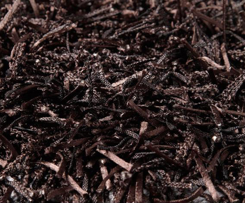 Textures at Best Price in Panipat, Haryana | Morus International