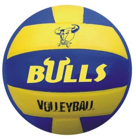 Machine Made Volley Ball at Best Price in Jalandhar | Hans Raj Mahajan ...