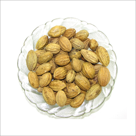 Terminalia Chebula at Best Price in Mandla, Madhya Pradesh | Precious ...