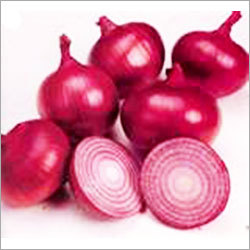 Big Red Onion at Best Price in Delhi, Delhi | Gopal Transport