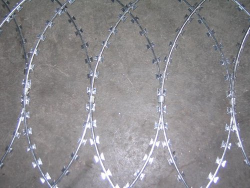Concertina Razor Wire at Best Price in Vadodara, Gujarat | Jaliwala ...