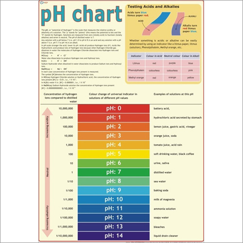 Preparation Of Sulphuric Acid Chart Dimensions: 70 X 100 Centimeter (Cm ...