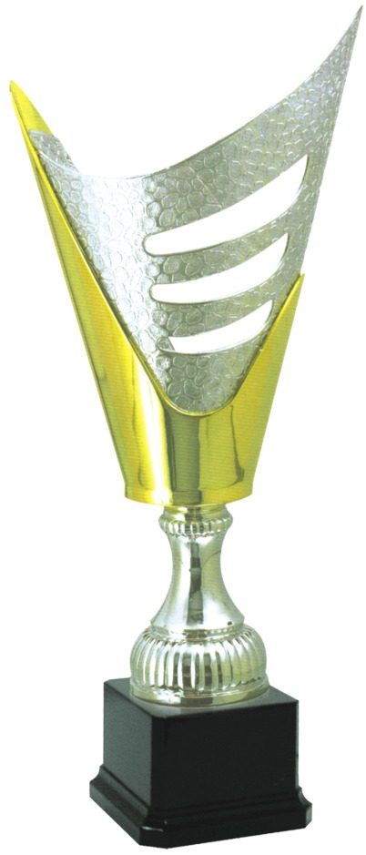 Trophy at Best Price in Kolkata, West Bengal | India Forms Centre Pvt. Ltd.