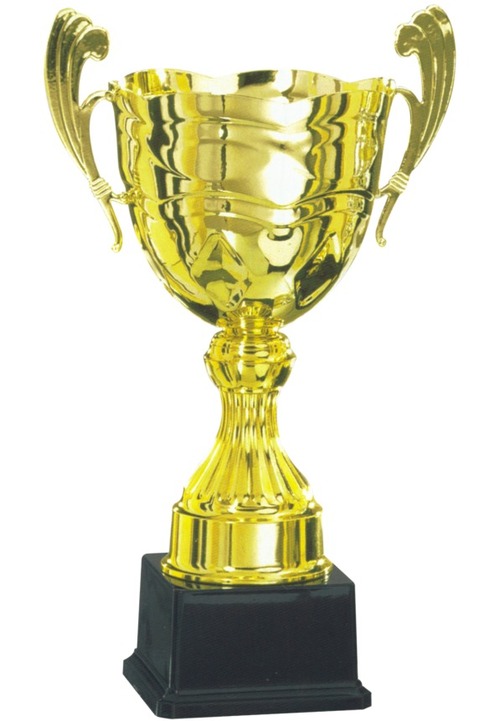 Trophy at Best Price in Kolkata, West Bengal | India Forms Centre Pvt. Ltd.