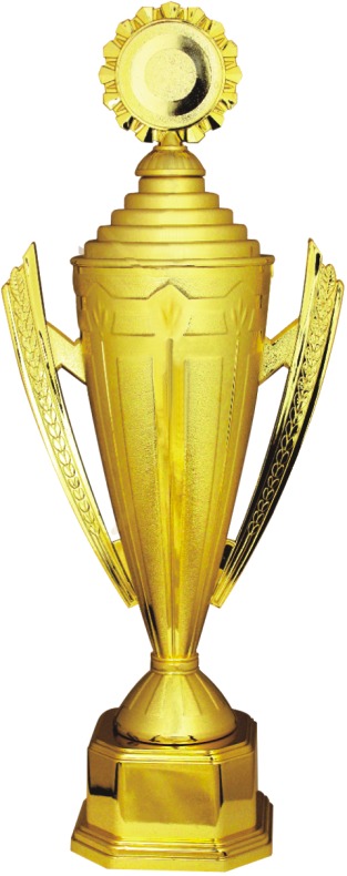 Trophy at Best Price in Kolkata, West Bengal | India Forms Centre Pvt. Ltd.