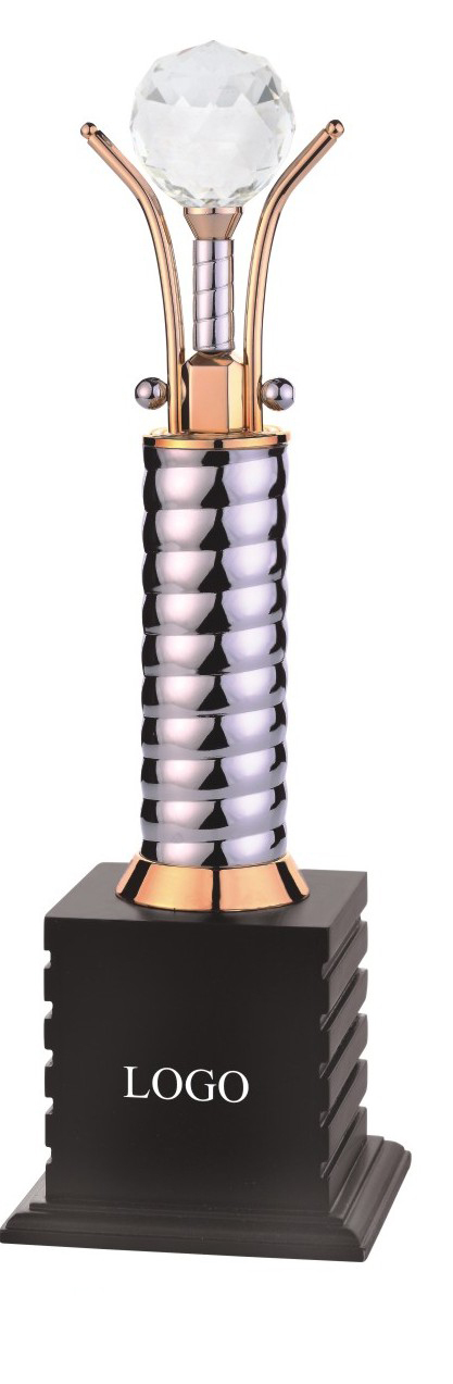 Trophy at Best Price in Kolkata, West Bengal | India Forms Centre Pvt. Ltd.