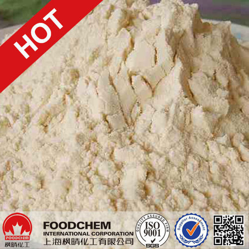 Soy Protein(blending) at Best Price in Shanghai, Shanghai | Foodchem ...