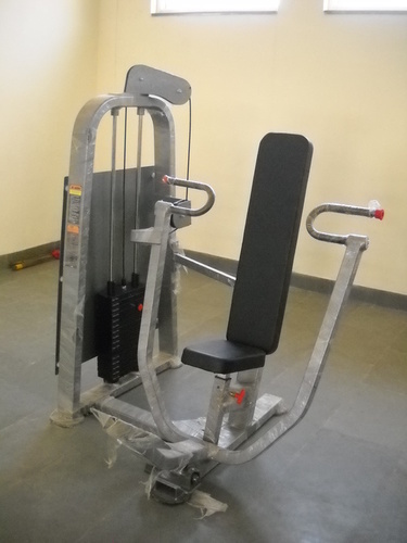 Vertical Chest Press Application: Tone Up Muscle at Best Price in ...