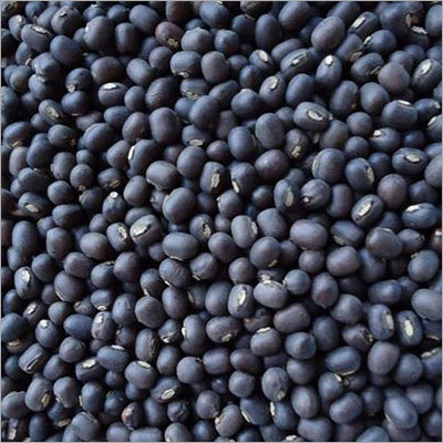 Black Matpe Suppliers, Black Matpe Exporters, Manufacturers