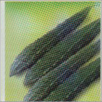 Hirimba - Bitter Gourd F-1 Hybrid Seeds at Best Price in Kolkata ...