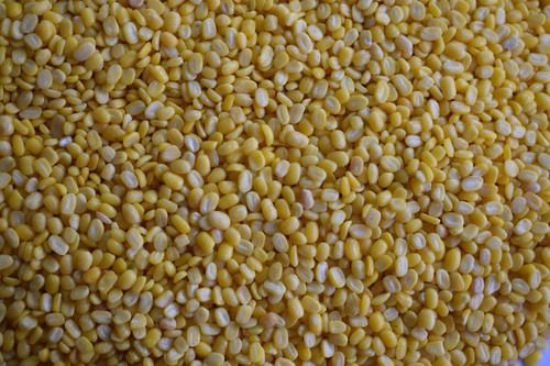 Moong Mogar Dal - Suppliers, Exporters and Manufacturers
