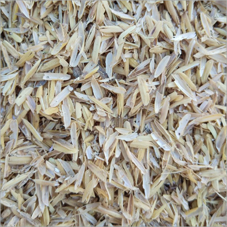 Paddy Husk, Paddy Husk Manufacturers & Suppliers, Dealers