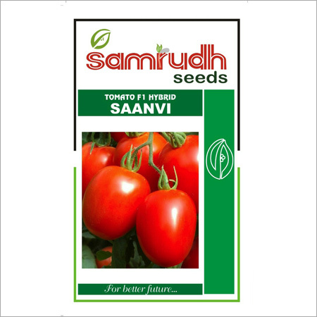Tomato F1 Hybrid Seed at Best Price in Bengaluru | Samrudh Seeds (india)