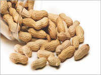 Ground Nuts Suppliers, Ground Nuts Exporters and Dealers