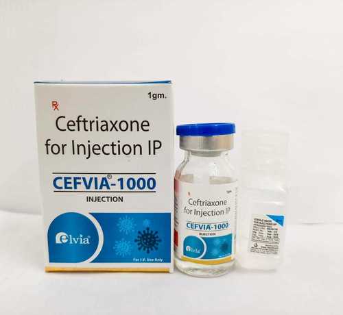Ceftriaxone 1 Gm Injection at Best Price in Solan | Elvia Care Pvt. Ltd.