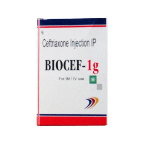 Biocef at Best Price in Surat, Gujarat | Salvavidas Pharmaceutical Pvt ...