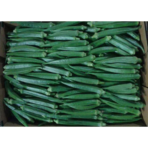 Okra Suppliers, Fresh Okra Exporters, Wholesalers