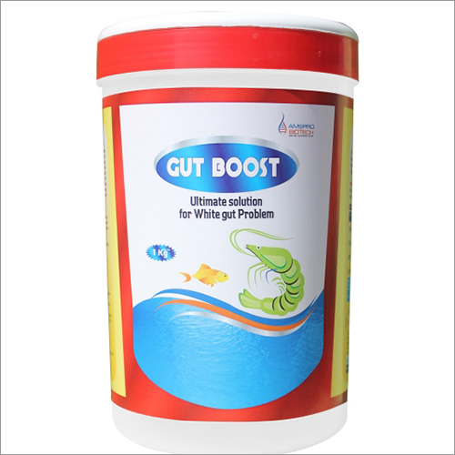 White Gut Boost Probiotic at Best Price in Hyderabad | Amspro Biotech ...
