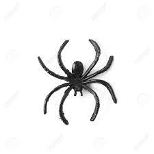 Rubber Spider - Rubber Spider Manufacturers, Suppliers & Dealers