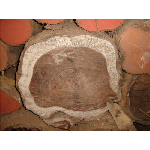 Brown Brown Wood Timber at Best Price in Moradabad, Uttar Pradesh ...