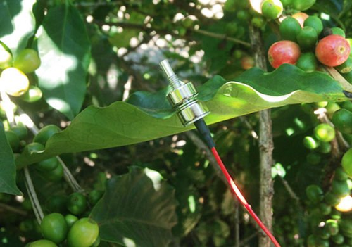 Sensor Cables, Sensor Cables Manufacturers, Suppliers & Dealers