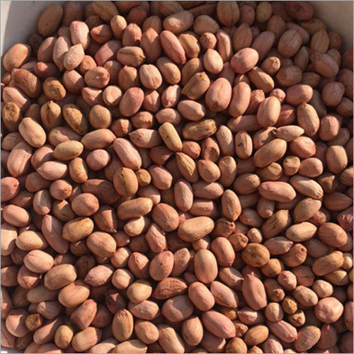 Peanuts Suppliers, Moongphalli Exporters and Dealers