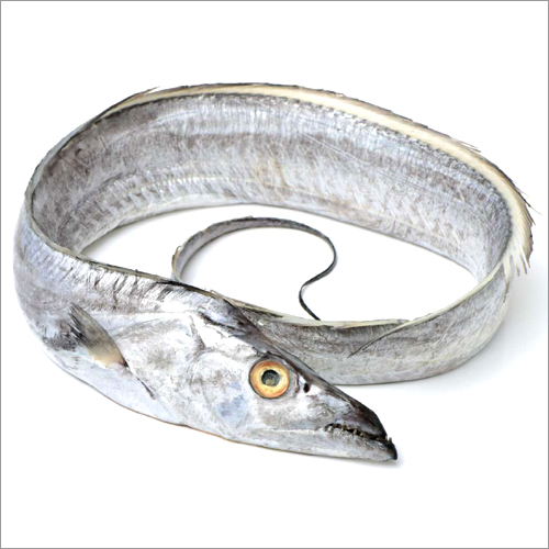 Fish Suppliers, Fish Exporters, Manufacturers