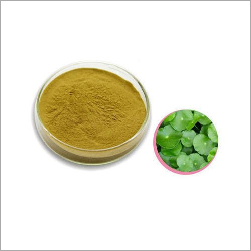 Centella Asiatica Extract - Manufacturers, Suppliers & Dealers