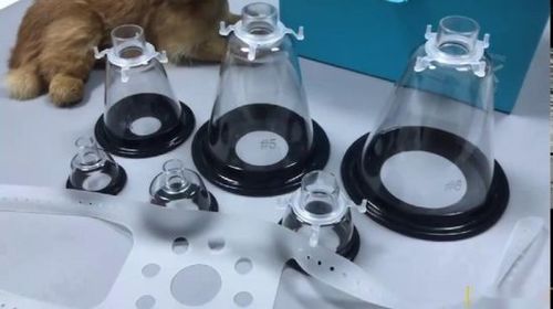 Veterinary Small Dog Cat Ventilation Animal Anesthesia Mask at Best ...