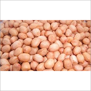 Ground Nuts Suppliers, Ground Nuts Exporters and Dealers