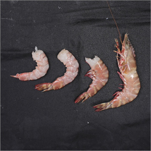 Shrimp - Shrimp Manufacturers, Suppliers & Dealers