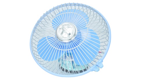 Coach Fan 8 Inches Body Material: Plastic And Metal at Best Price in ...