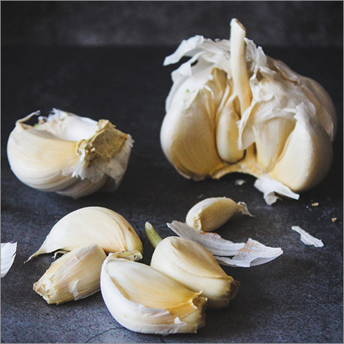 White Garlic at Best Price in Aurangabad, Maharashtra | Smell Feast ...