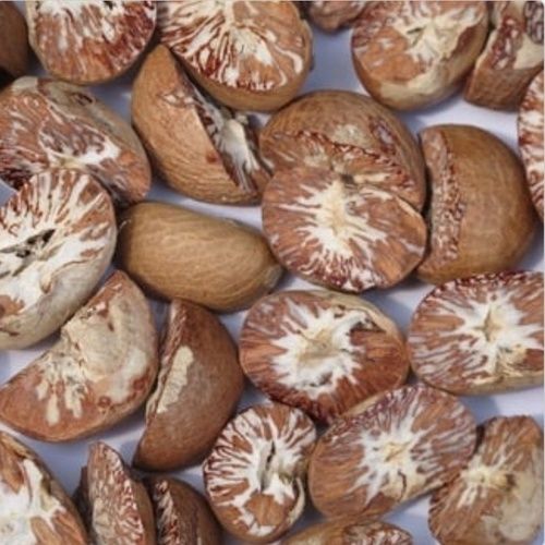Betel Nuts - Betel Nut Manufacturers, Suppliers & Exporters