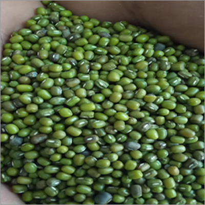 Green Gram Suppliers, Green Gram Exporters, Manufacturers