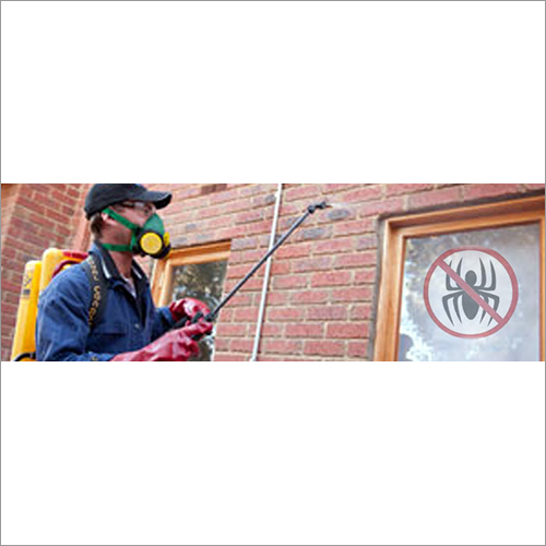 Sanitation And Housekeeping Seevices For Spider Control at Best Price ...