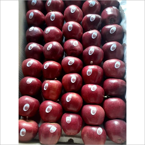 Organic Red Royal Delicious Apple at Best Price in Shimla | Chauhan ...
