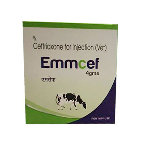 Liquid Ceftriaxone Veterinary Injection at Best Price in Bathinda ...