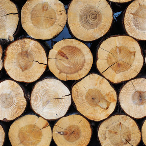 Wood Timber Logs Grade: A at Best Price in Kolkata | Panchabati Saw Mill