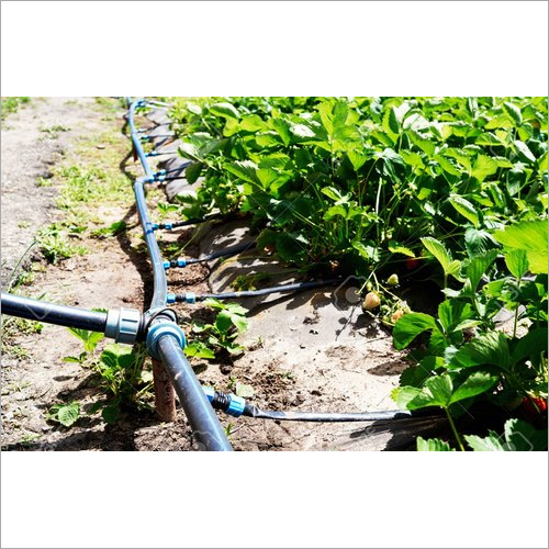 Drip Irrigation System - Manufacturers, Suppliers & Dealers