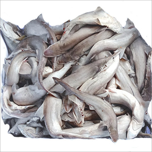 Ritha Fish Weight: As Per Requirement Kilograms (Kg) at Best Price in ...