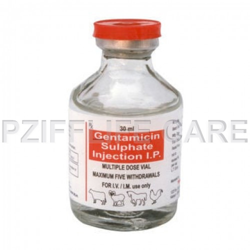 Liquid Gentamicin Sulphate Injection 30Ml at Best Price in Surat ...