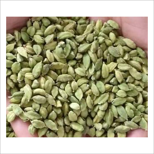 Green 6Mm Cardamom Premium at Best Price in Idukki | Capital Spices