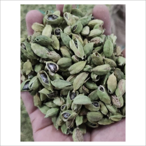Green 8Mm Bold Export Cardamom at Best Price in Idukki | Capital Spices