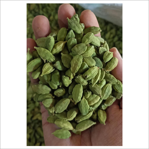 Green 8Mm Plus Fancy Cardamom at Best Price in Idukki | Capital Spices