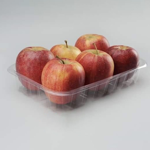 Transparent Apple Fruit Tray at Best Price in Rajkot | R Meet Trading