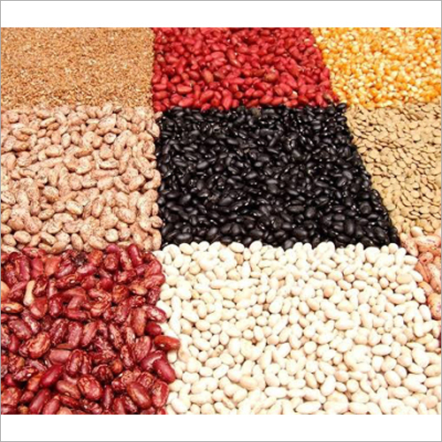 Organic Pulses at Best Price in Dehradun, Uttarakhand | Sanjeevani Organics