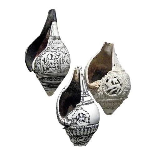 Carved Conch Shell at Best Price in Midnapore, West Bengal | Rupam ...